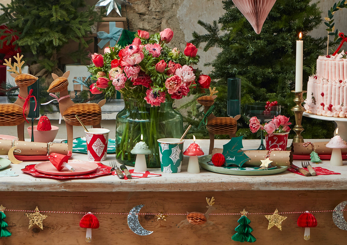 Que linda es mi Fiesta | decoración celebraciones | Meri Meri en Chile